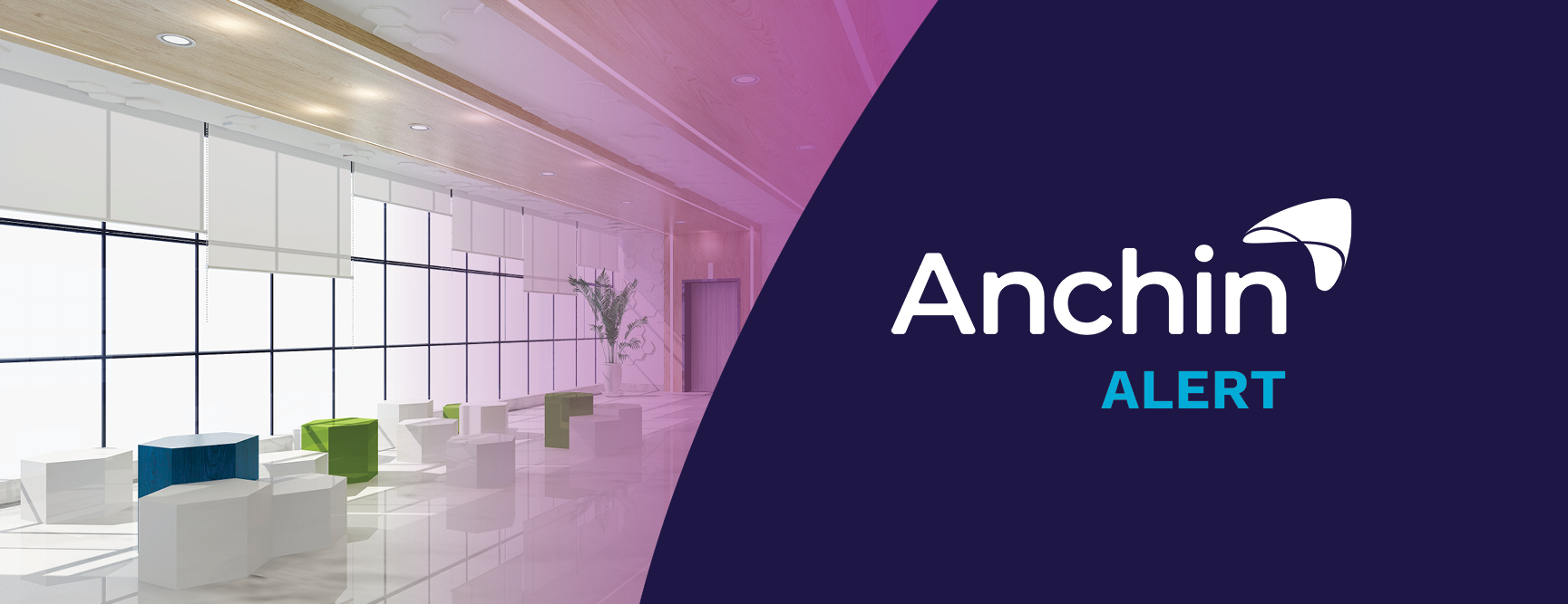 Auditing and Accounting - Anchin